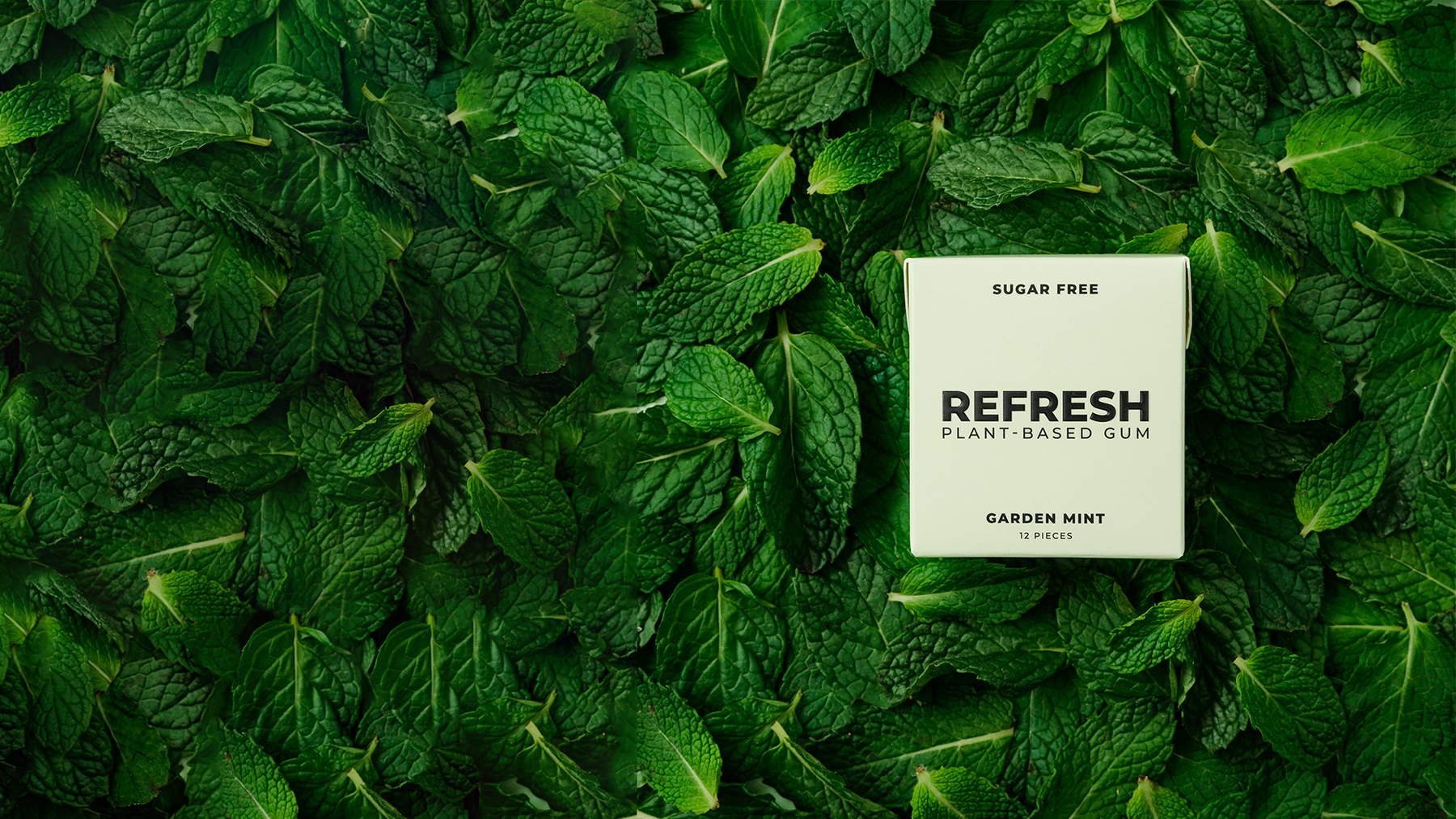 GARDEN MINT